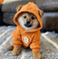Dog (Bitcoin) (DOG) Price, Charts, and Info | Bitcoin.com Markets